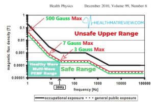 Healthy Wave Multi-Wave Mat Review 2025 - #1 PEMF Mat?